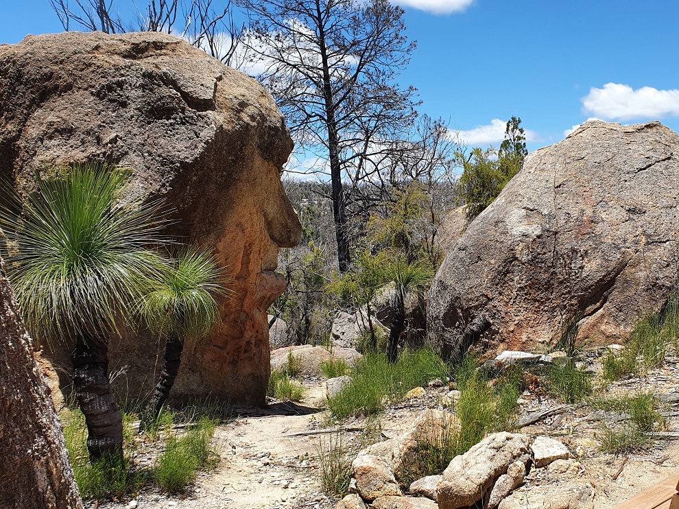 Tenterfield's Must Visit National Parks - New England High Country