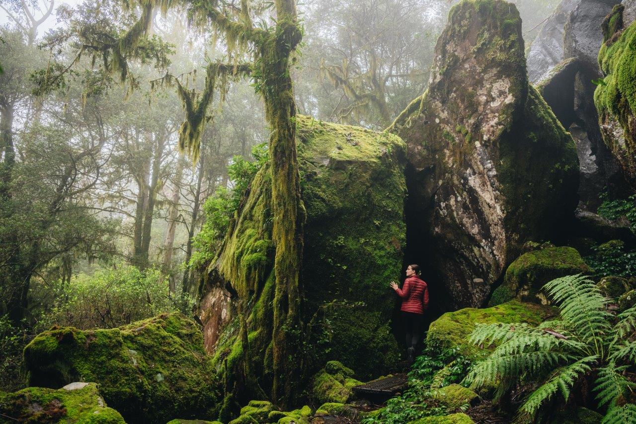 Nature - New England High Country